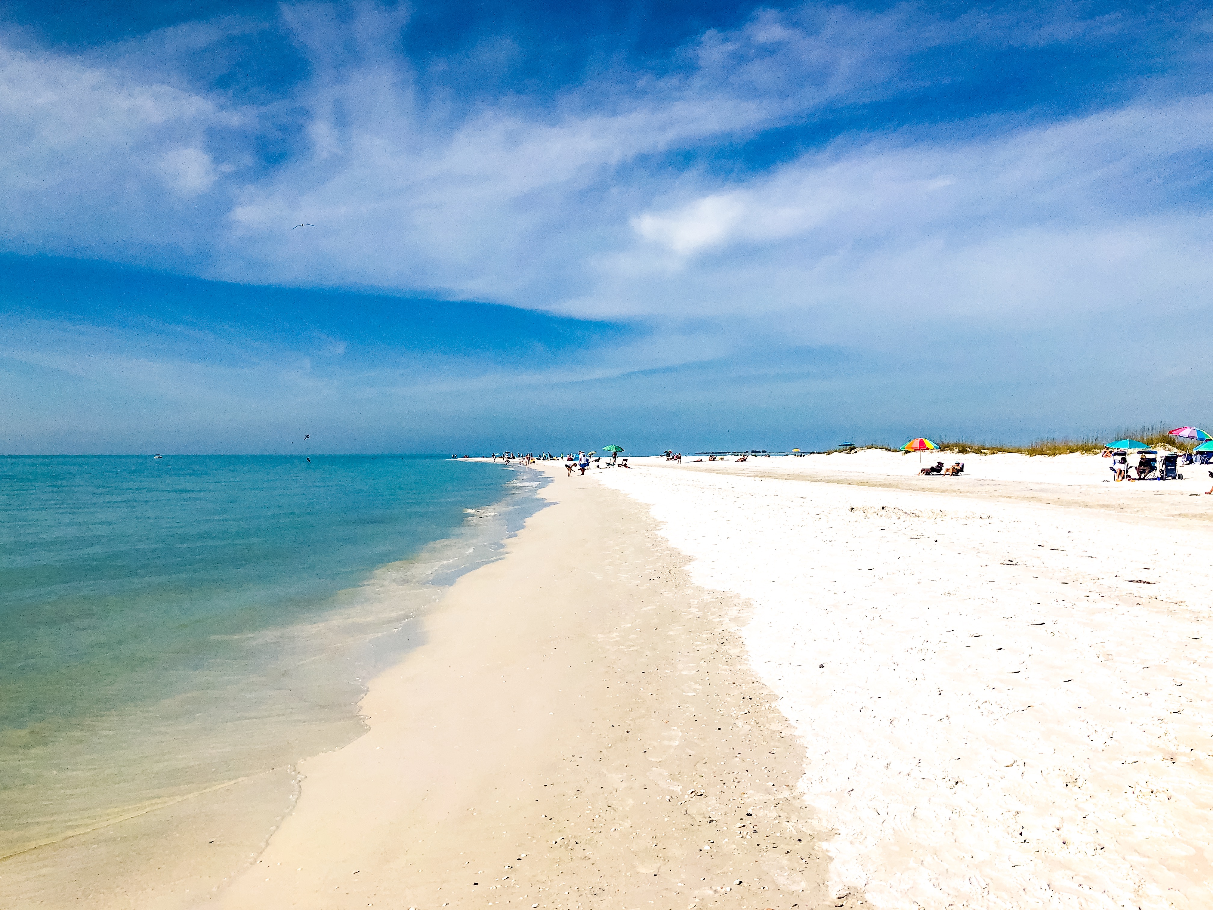 IMG_8100 – Tailored with Tan Lines